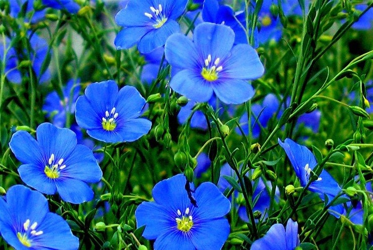 ΛΙΝΑΡΙ ΝΕΑ ΕΚΠΟΜΠΗ ΠΡΟΣΒΑΣΙΜΗ ΣΕ ΟΛΟΥΣ ΠΡΕΜΙΕΡΑ ΣΗΜΕΡΑ 23.15 ...