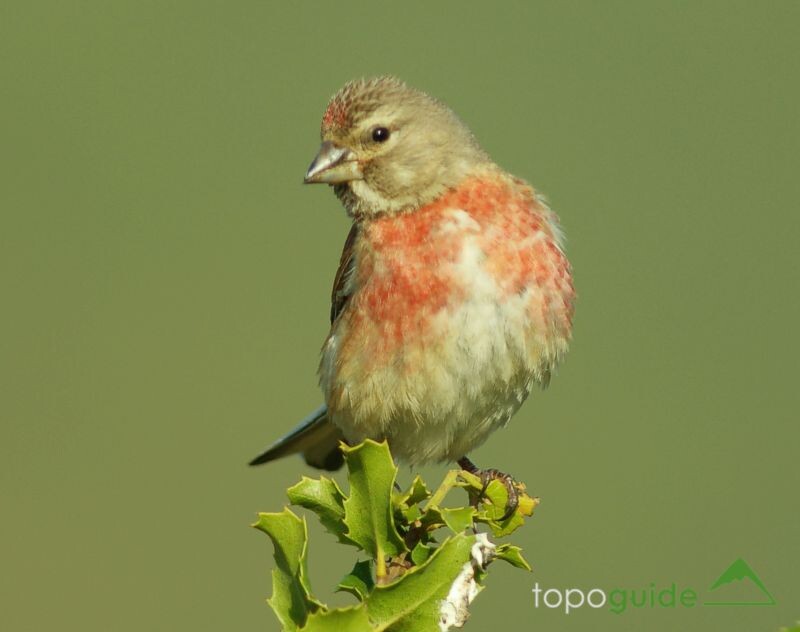 ΦΑΝΕΤΟ ΝΕΑ ΕΚΠΟΜΠΗ ΠΡΟΣΒΑΣΙΜΗ ΣΕ ΟΛΟΥΣ ΠΡΕΜΙΕΡΑ ΣΗΜΕΡΑ 23.15 ...
